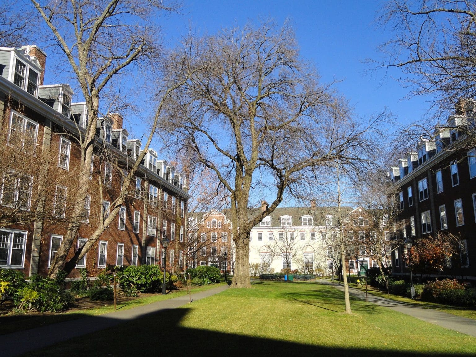 HBS Interview: How to Prepare and Succeed